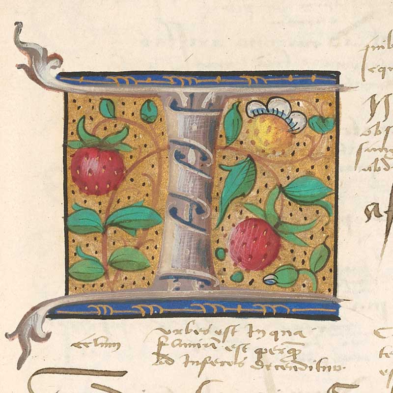 Proserpine in Script and Print, 1511 – Virginia Fox Stern Center