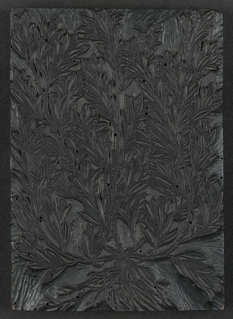 Herbal with Woodblock and Preserved Flower, 1563 – Virginia Fox Stern ...